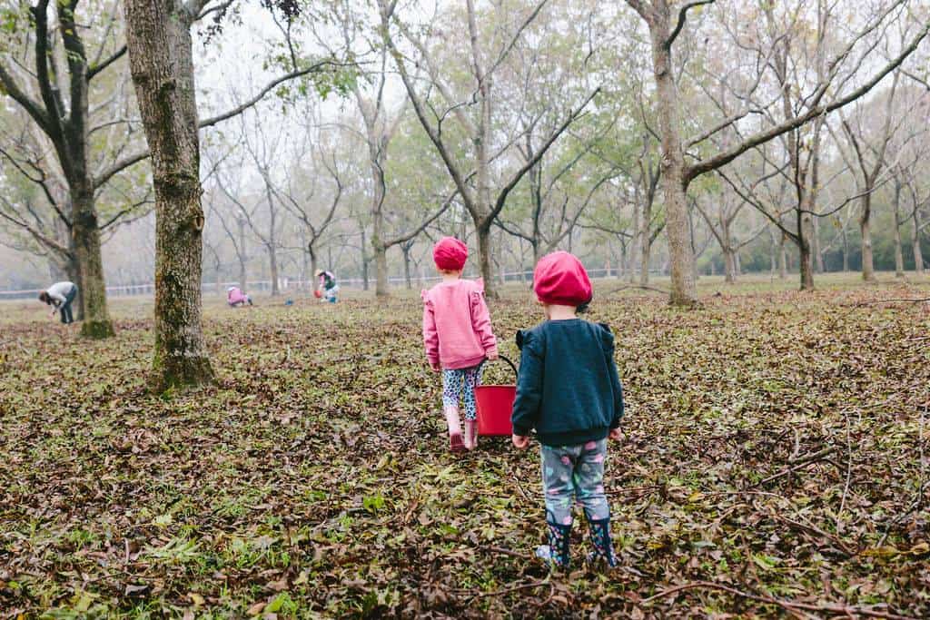 Home - Newy with Kids
